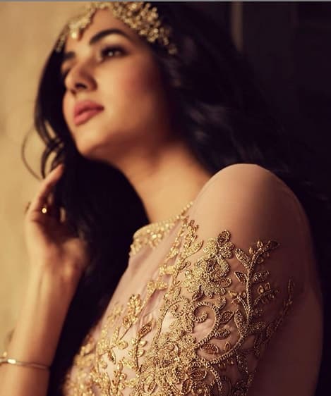 Sonal Chauhan Biography, Wiki, Height, Age, Boyfriend & More ...