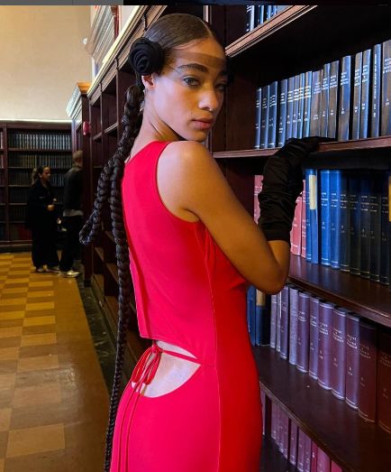 Reign Judge Biography and Unknown Facts – Biography Park